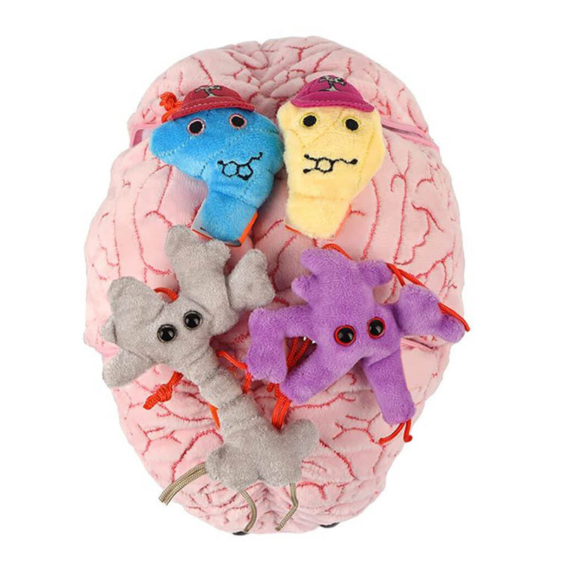 Deluxe Brain with Hidden Cells & Neurotransmitters Soft Toy | Steam ...