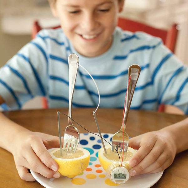 Lemon Clock - KidzLabs | Steam Rocket | Fun, Educational Toys & Games