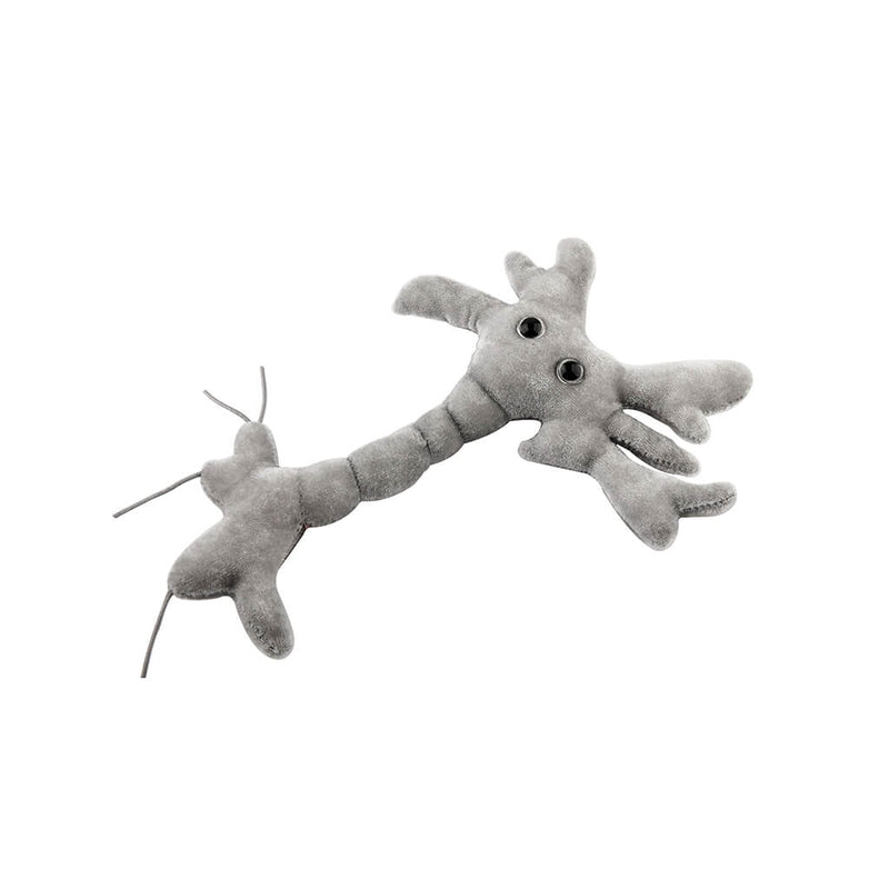 Brain Cell (Neuron) Soft Toy - Giant Microbes - Steam Rocket