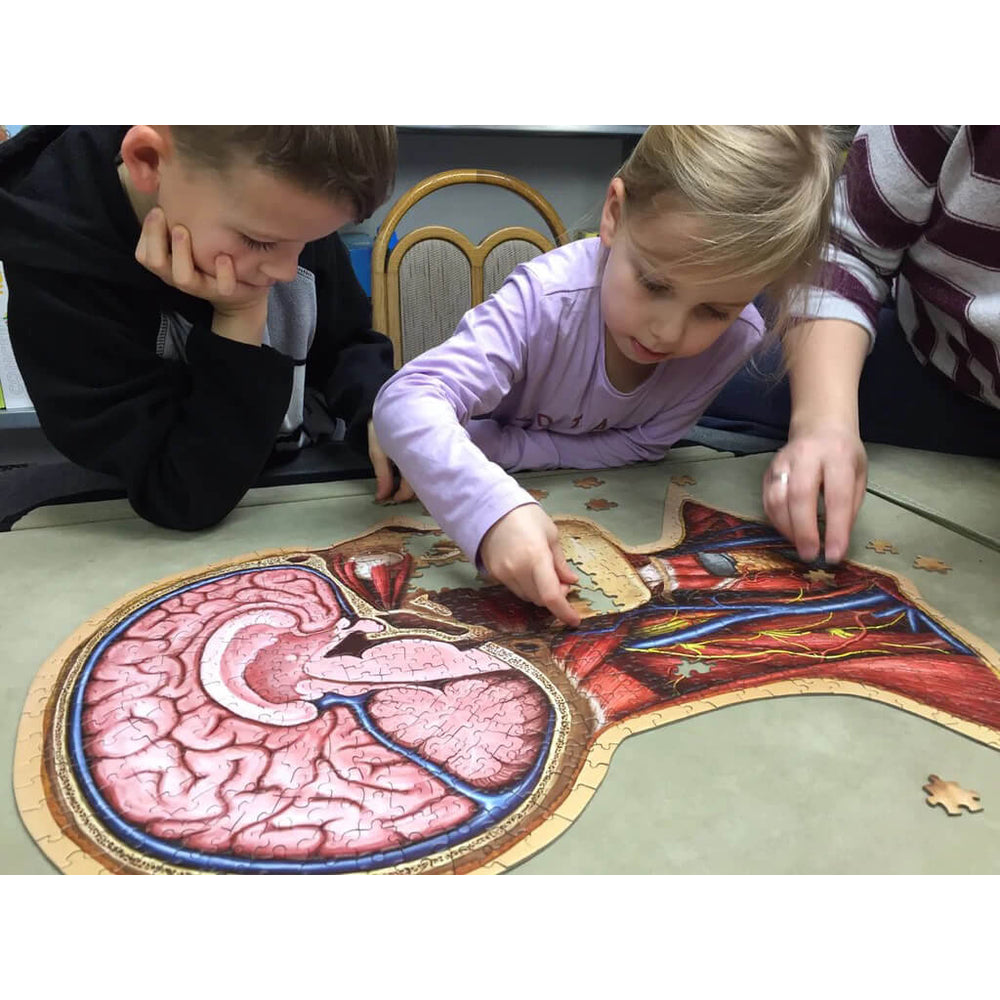 Dr Livingston's Human Anatomy Jigsaw Puzzles - Steam Rocket